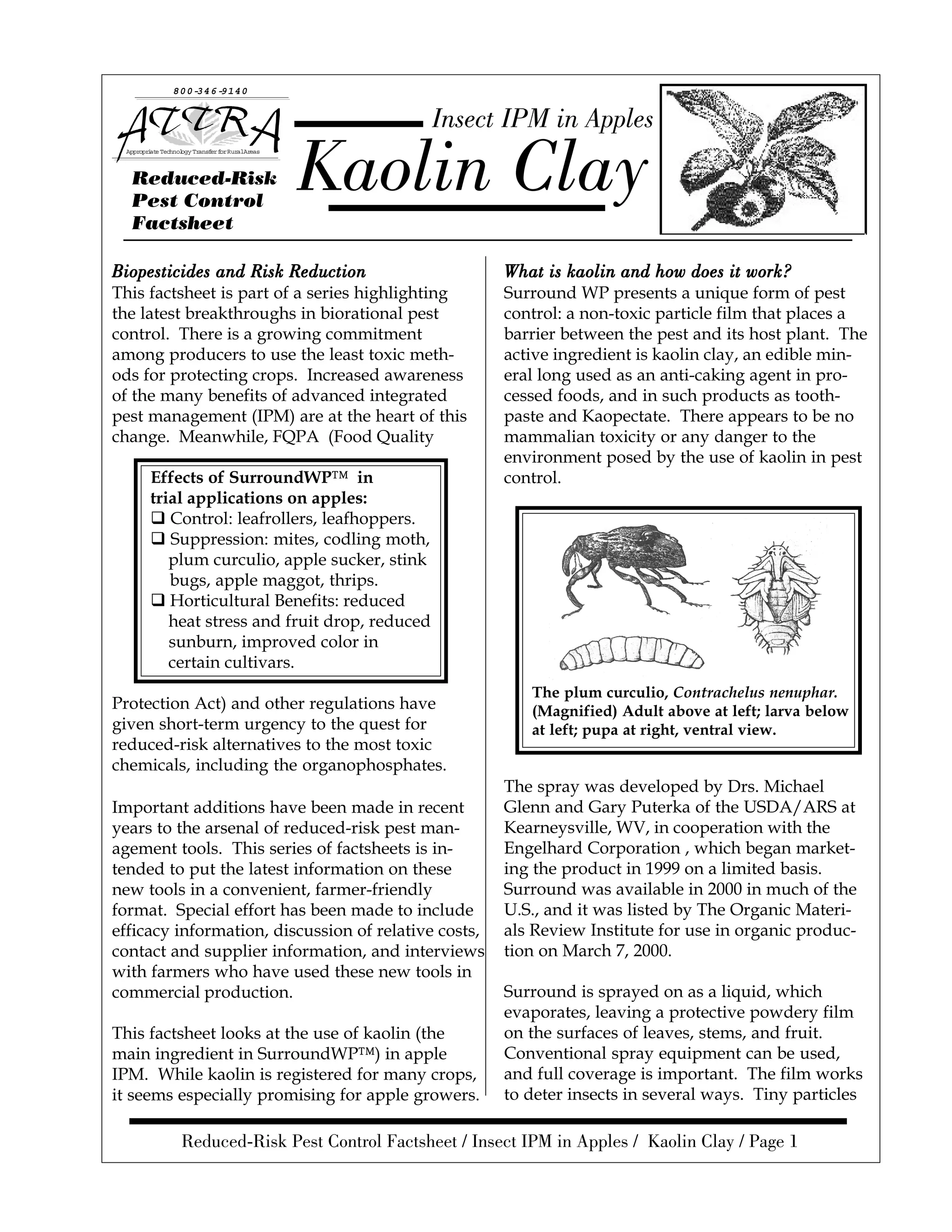 Insect IPM in Apples: Kaolin Clay | PDF