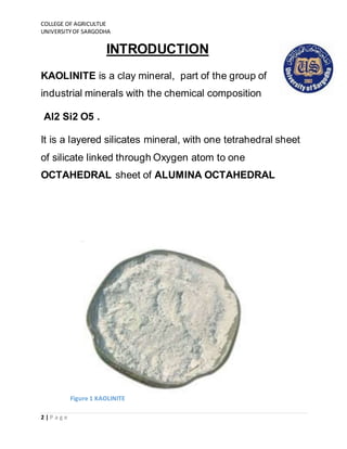 Kaolinite | DOCX
