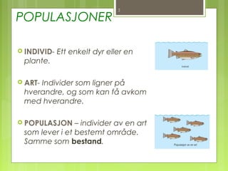 Kap 3 populasjonsforandringer | PPT