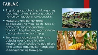 KAPALIGIRAN AT IKINABUBUHAY SA MGA LALAWIGAN NG ATING.pptx