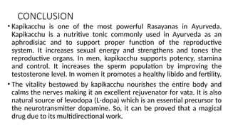 Kapikacchu or Mucuna is famous for its powerful aphrodisiac as it is ...