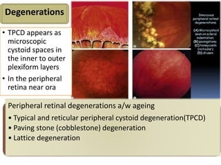 Age-related ocular anatomical and physiological || Kapil Gautam | PPTX