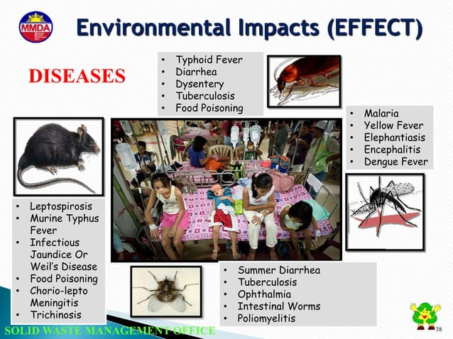 Proper Waste Segregation Seminar | PPTX | Indoor Environmental Quality ...