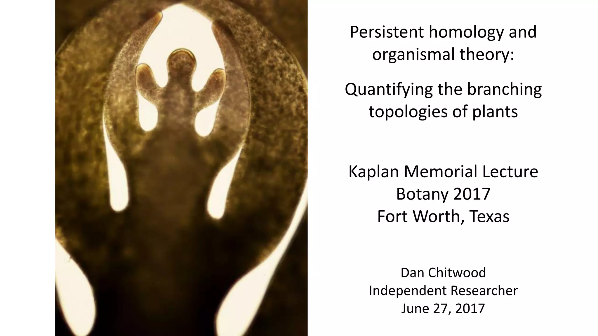 Persistent homology and organismal theory: Quantifying the branching ...