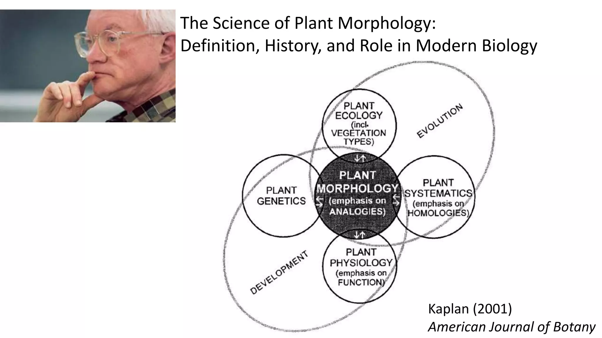Persistent homology and organismal theory: Quantifying the branching ...