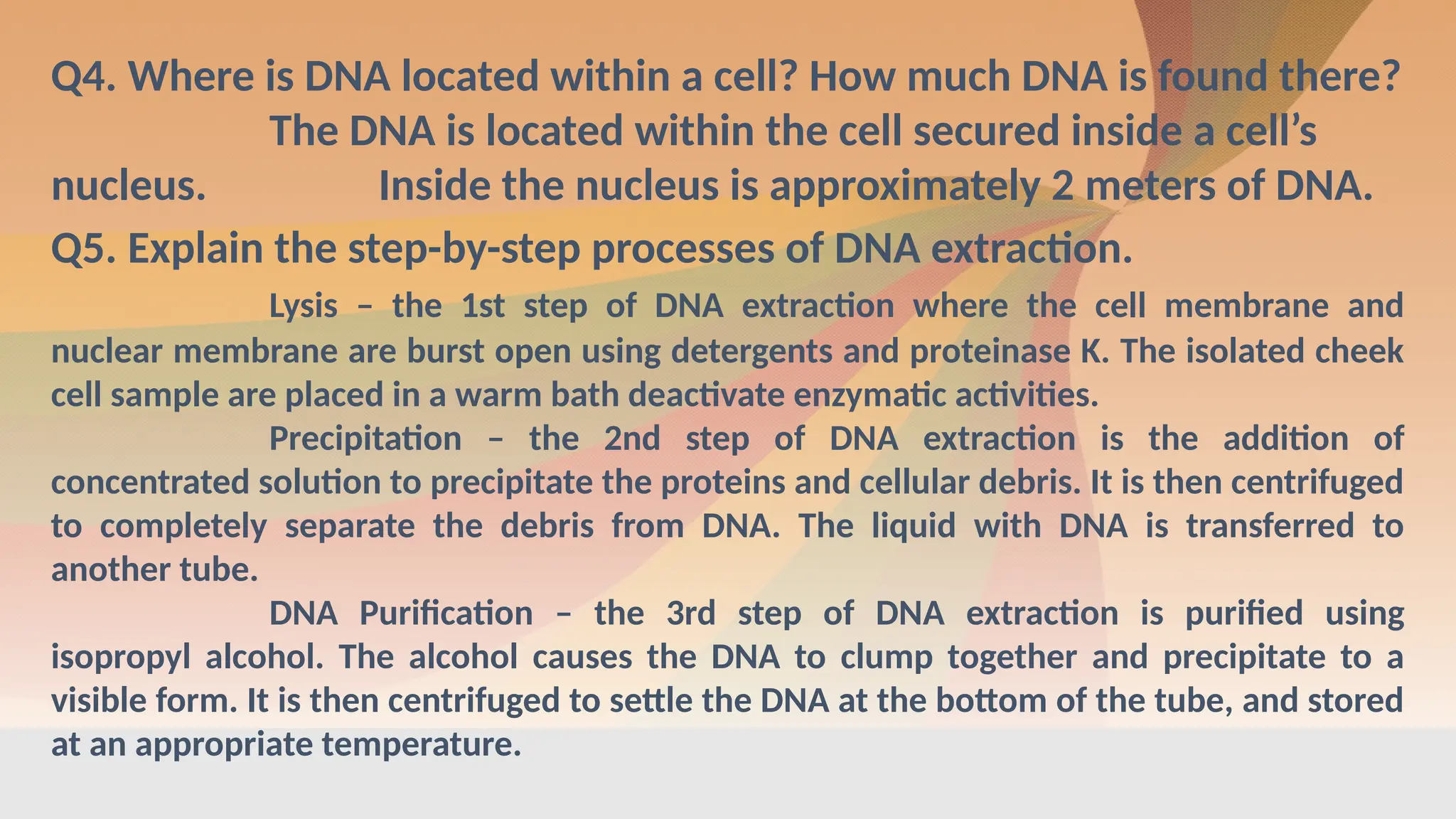Kapunan - Activity 06.pptx Cell and Molecular | DNA Extraction | PPT
