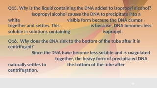 Kapunan - Activity 06.pptx Cell and Molecular | DNA Extraction | PPT