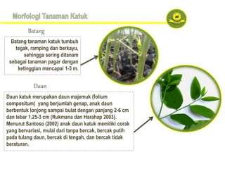 Karakter agronomi berbagai aksesi tanaman katuk ( | PPTX