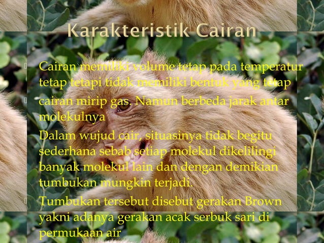 Karakteristik cairan | PPT
