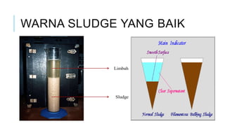 Karakteristik activated sludge | PPTX