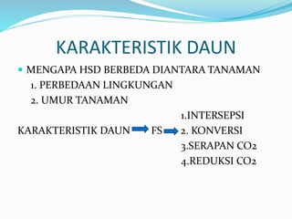 Karakteristik daun | PPT