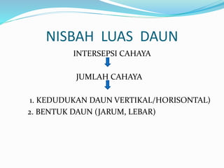 Karakteristik daun | PPT