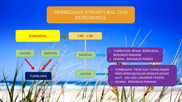 KARAKTERISTIK EKOSISTEM PERAIRAN KELOMPOK 2B.pptx