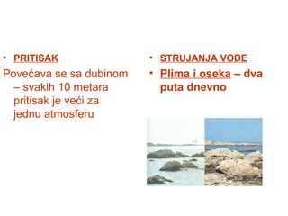Karakteristike morske vode | PPT