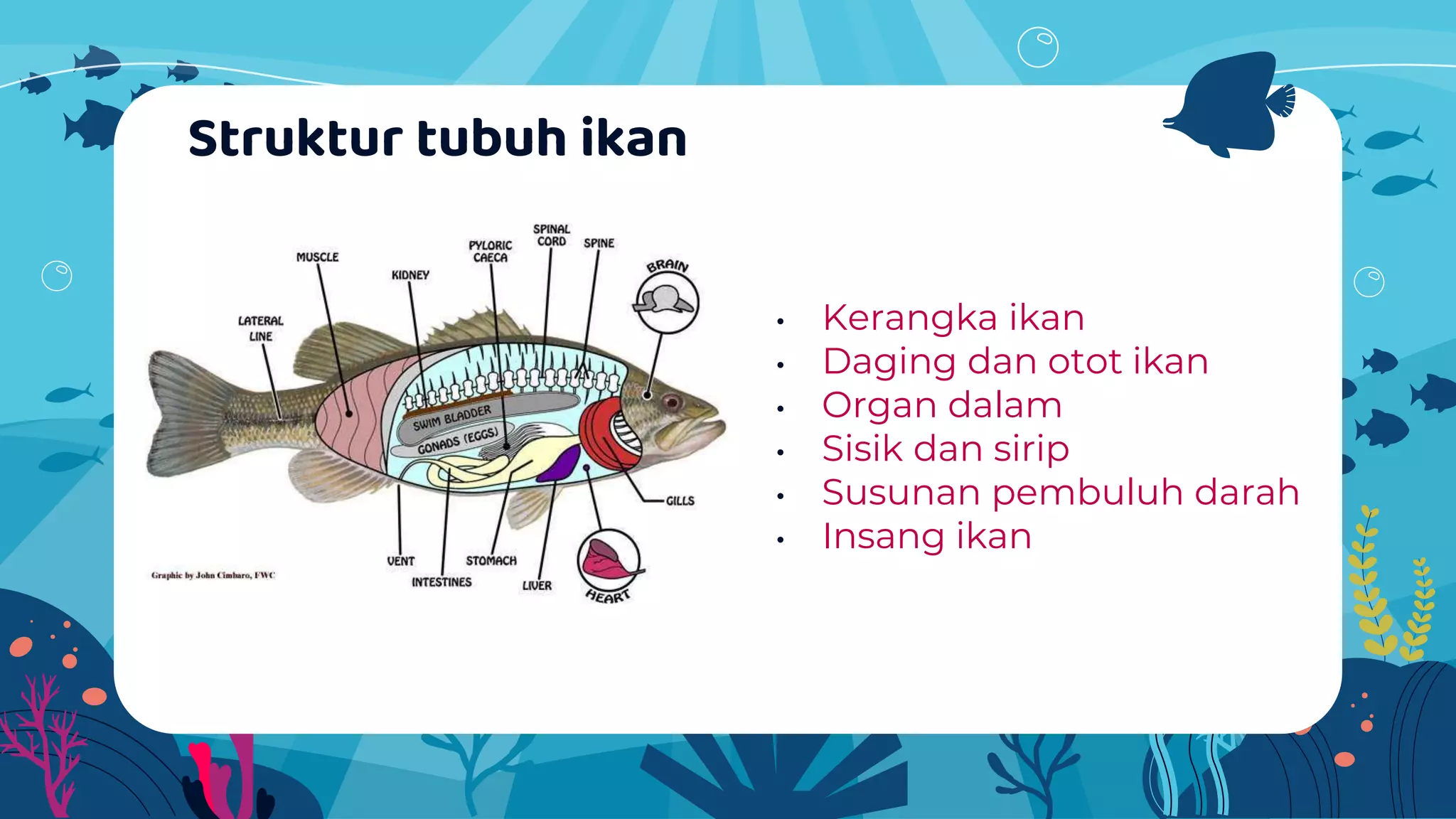 Karakteristik Fisiko-Kimia Hasil Perikanan.pptx