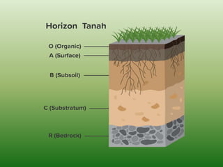 KARAKTERISTIK KHAS TANAH DAN SPESIFIK PENGELOLAAN LAHAN.pptx