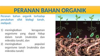 Karakteristik Kimia Tanah di lapangan .pptx