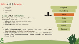 Karakteristik Klasifikasi Makhluk Hidup Presentasi Kuning dan Hijau ...