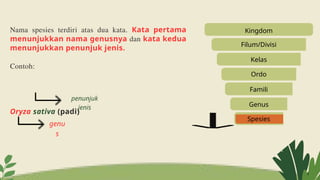 Karakteristik Klasifikasi Makhluk Hidup Presentasi Kuning dan Hijau ...