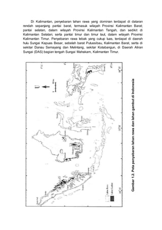Karakteristik lahan rawa | DOCX
