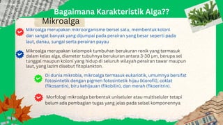 KARAKTERISTIK MIKROALGA.pdf