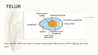 KARAKTERISTIK TELUR.pptx