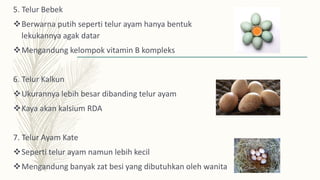 KARAKTERISTIK TELUR.pptx