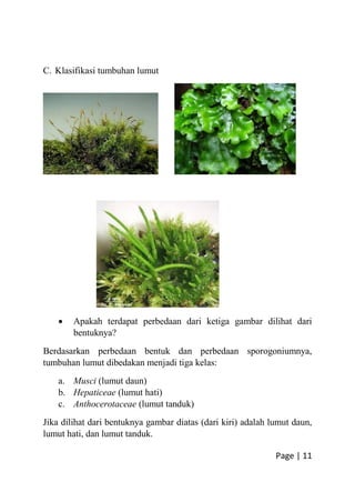 Karakteristik tumbuhan lumut | PDF