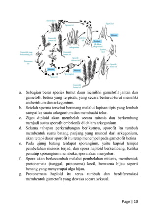 Karakteristik tumbuhan lumut1 | PDF