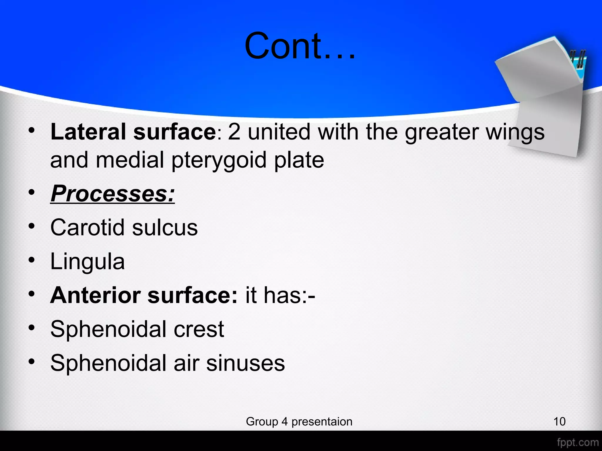 Sphenoid bone (osteology) | PPT