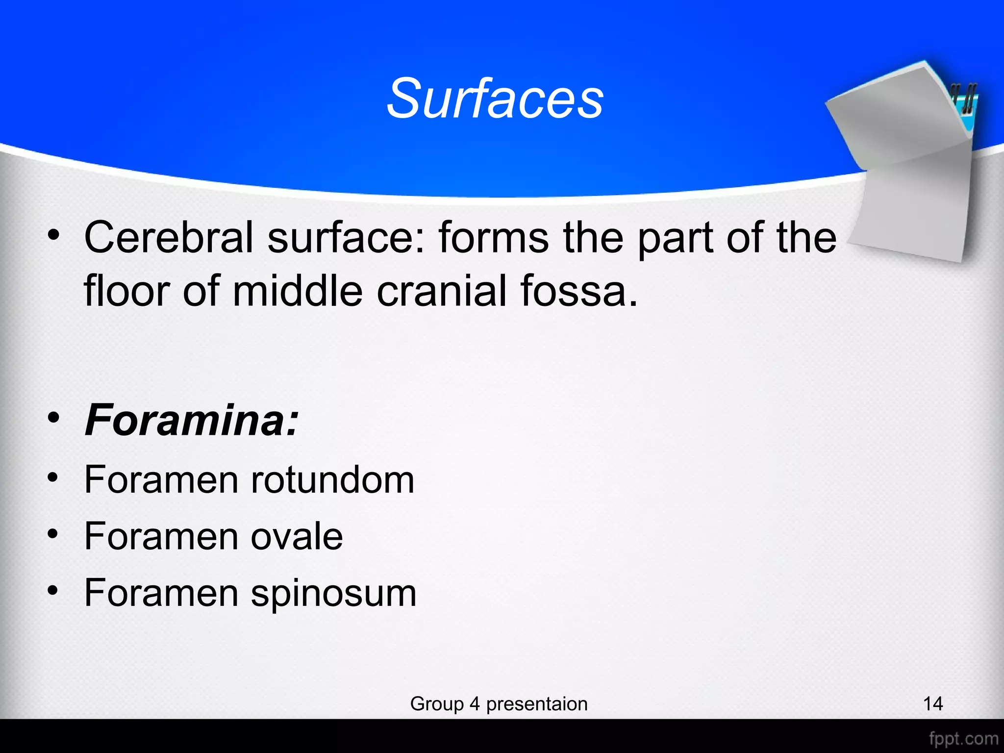 Sphenoid bone (osteology) | PPT