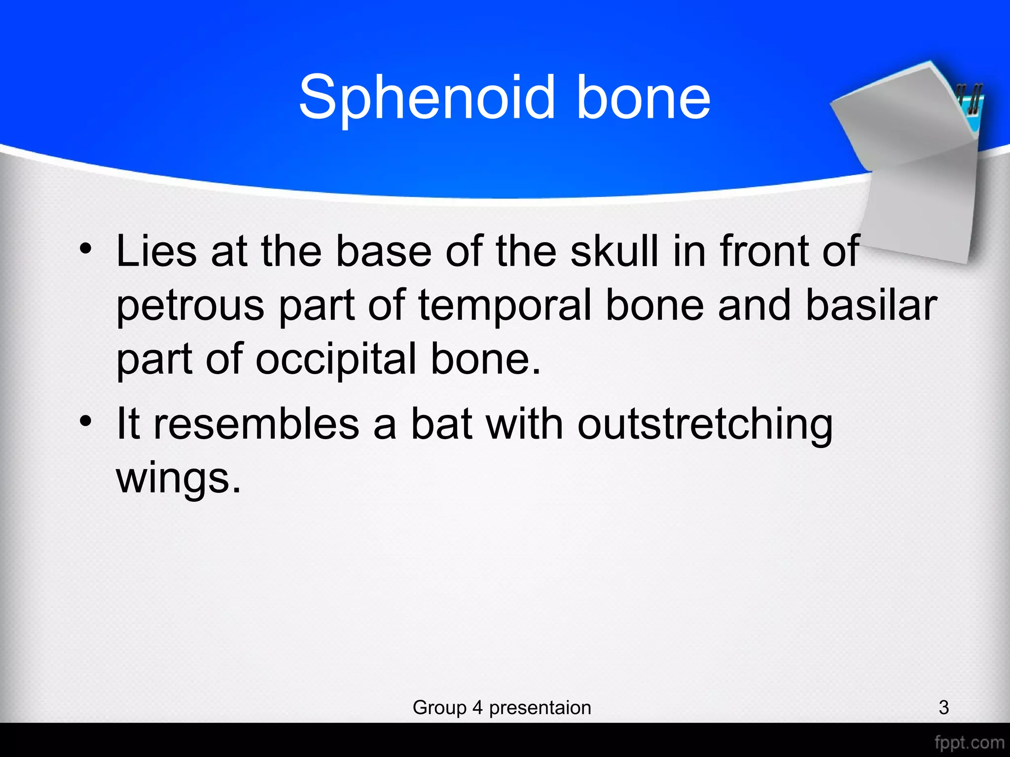 Sphenoid bone (osteology) | PPT