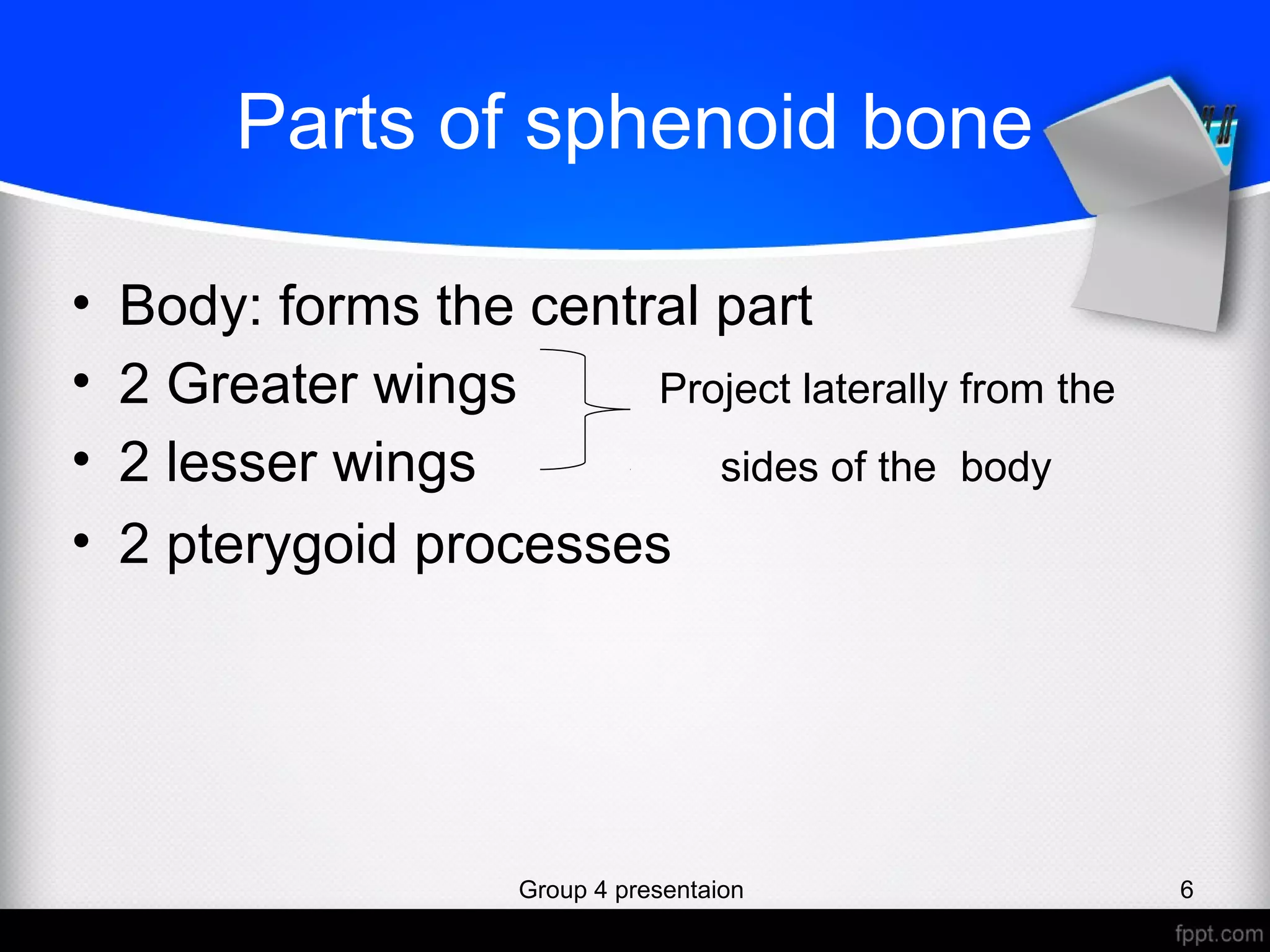 Sphenoid bone (osteology) | PPT