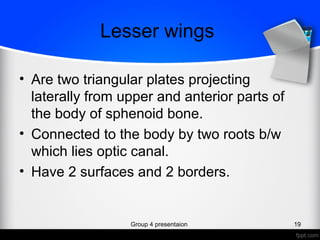 Sphenoid bone (osteology) | PPT