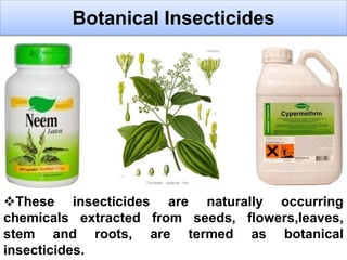 Botanical Insecticide Karamjeet 135021041 | PPTX