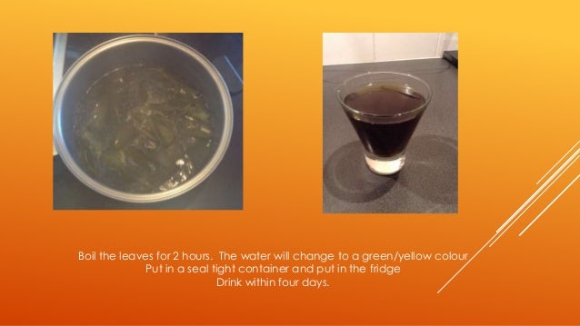 Karamu « Rongoa Maori