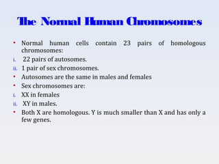 Chromosomes: Packaging of genome | PPT