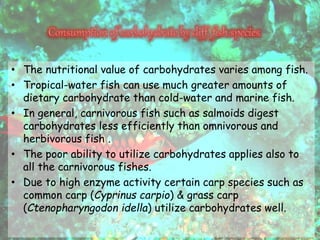 Nutritional Biochemistry | PPTX