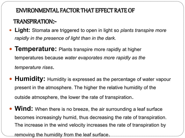 transpiration | PPT
