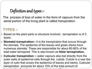 transpiration | PPTX | Gardening | Home & Garden