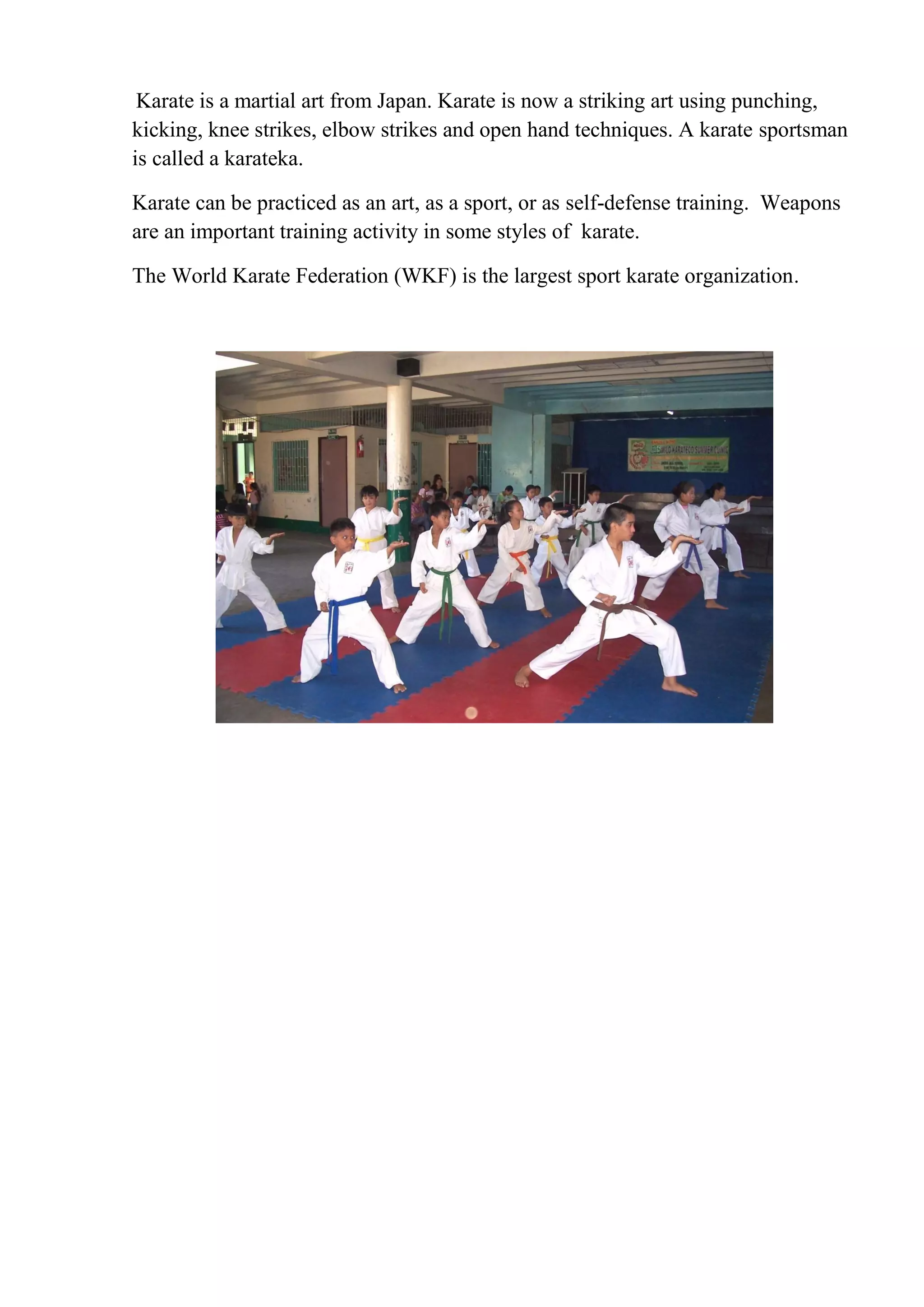 Karate | PDF | Martial Arts | Sports