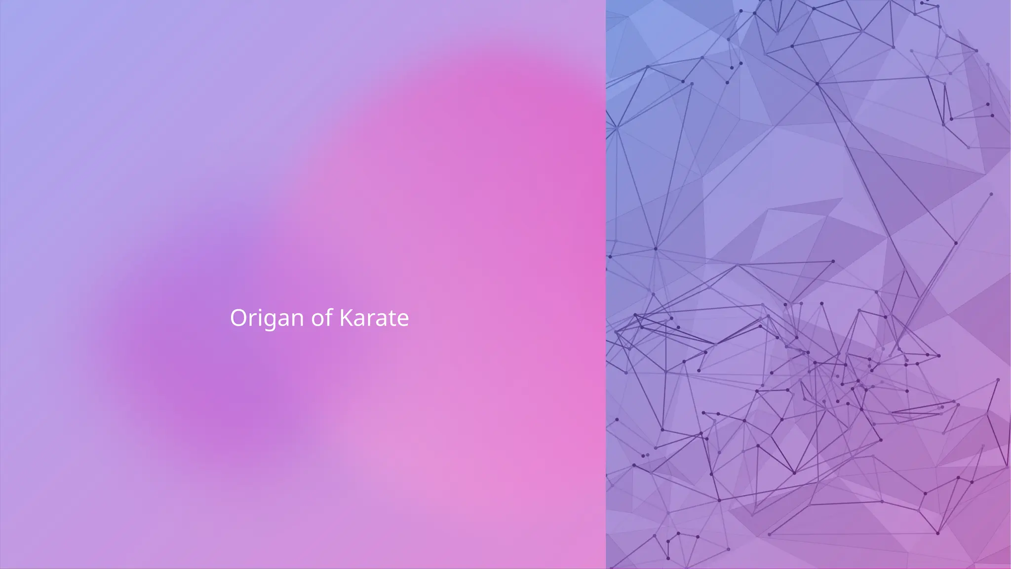 KARAte expert kickboxing kick light expert.pptx