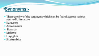 Karaveera agad tantra and toxicology.pptx