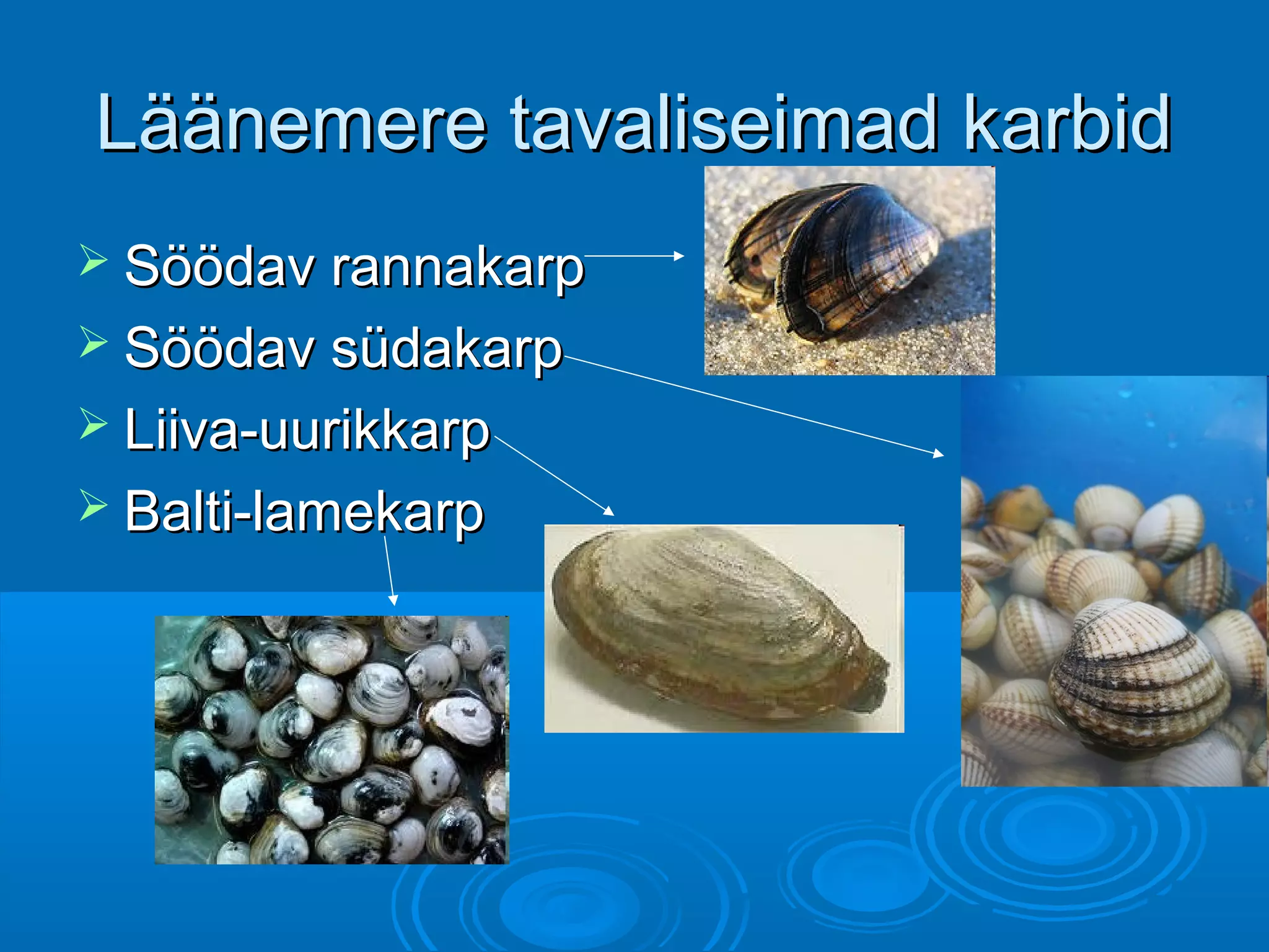 Karbid on peata limused | PPT