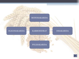 Karbohidrat | PPTX