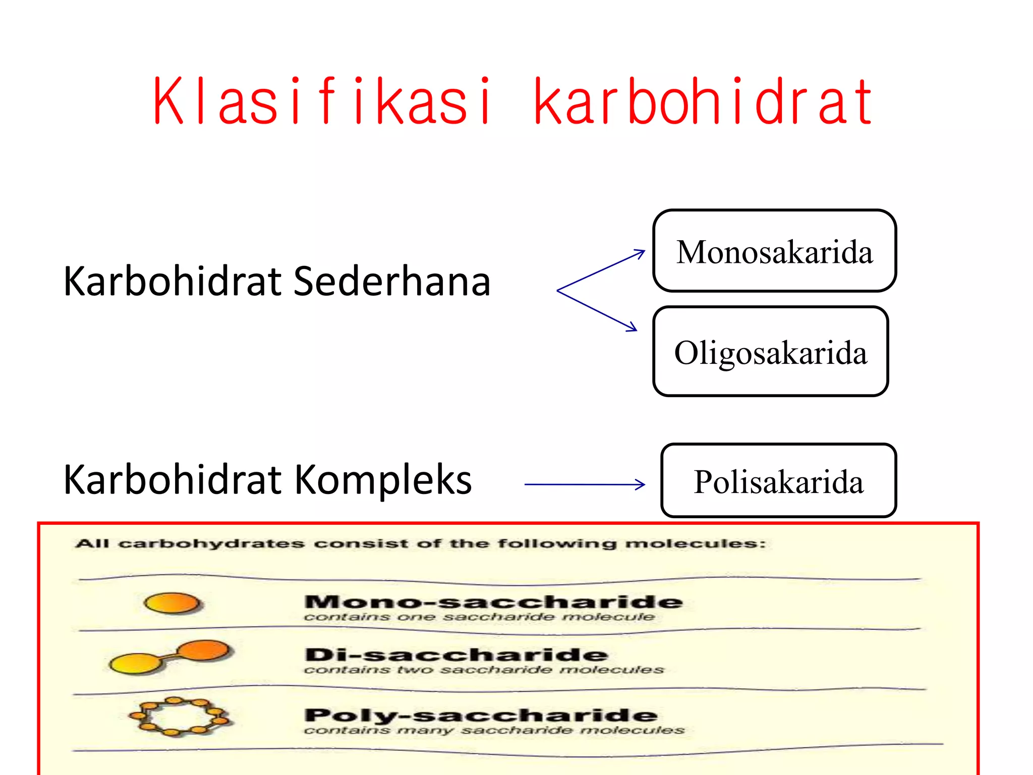 karbohidrat.ppt