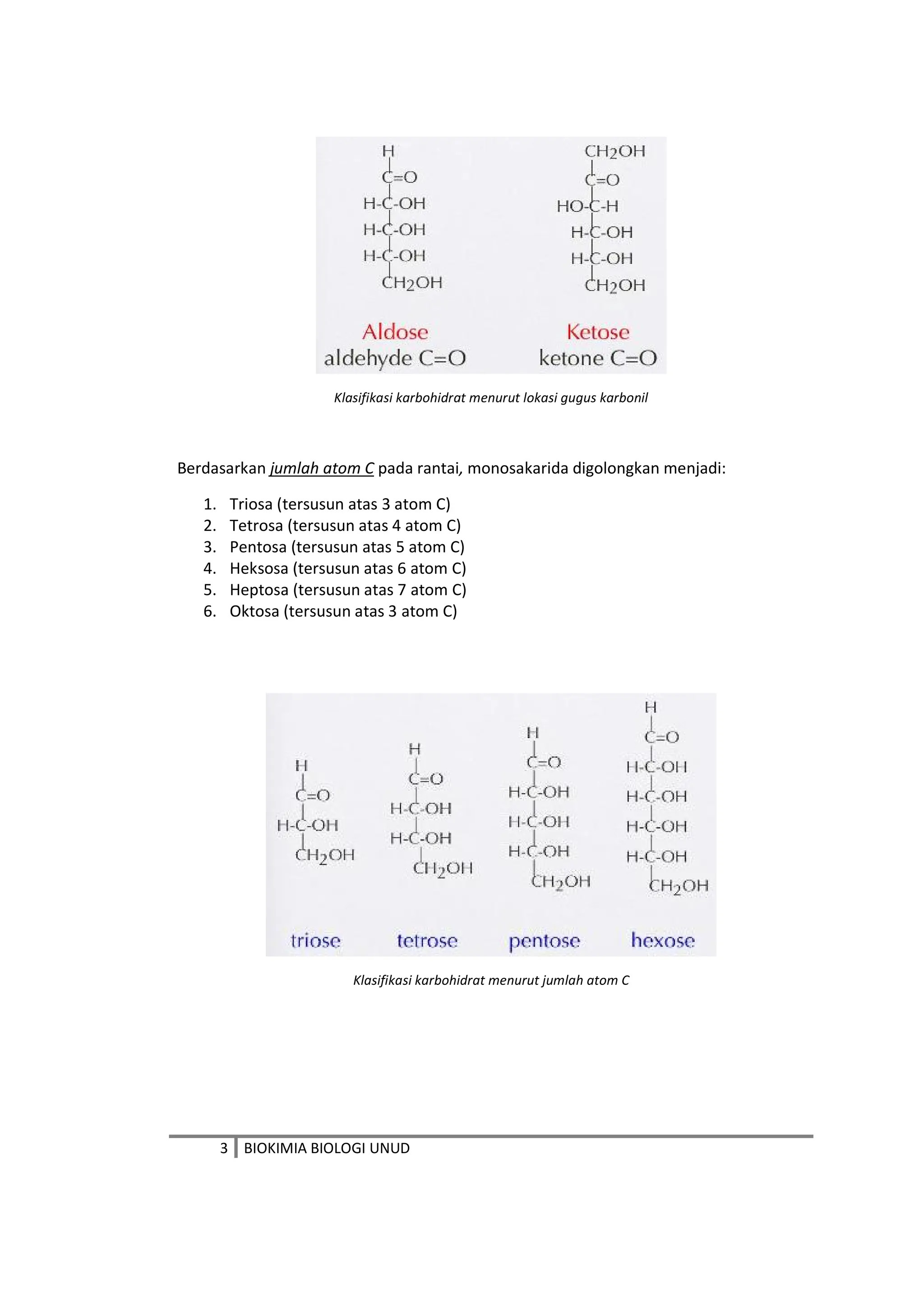 fungsi dan peran karbohidrat.biokimia.pdf