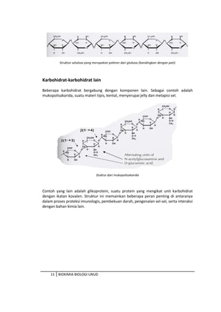 fungsi dan peran karbohidrat.biokimia.pdf
