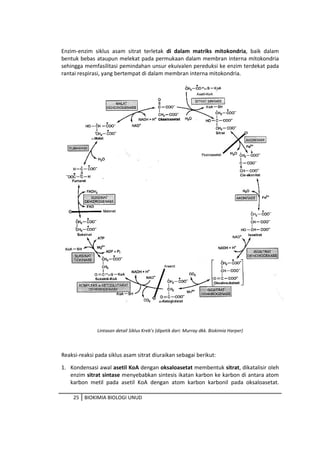 fungsi dan peran karbohidrat.biokimia.pdf
