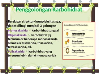 KARBOHIDRAT (Struktur, Sifat, Penggolongan dan Fungsi) | PPTX